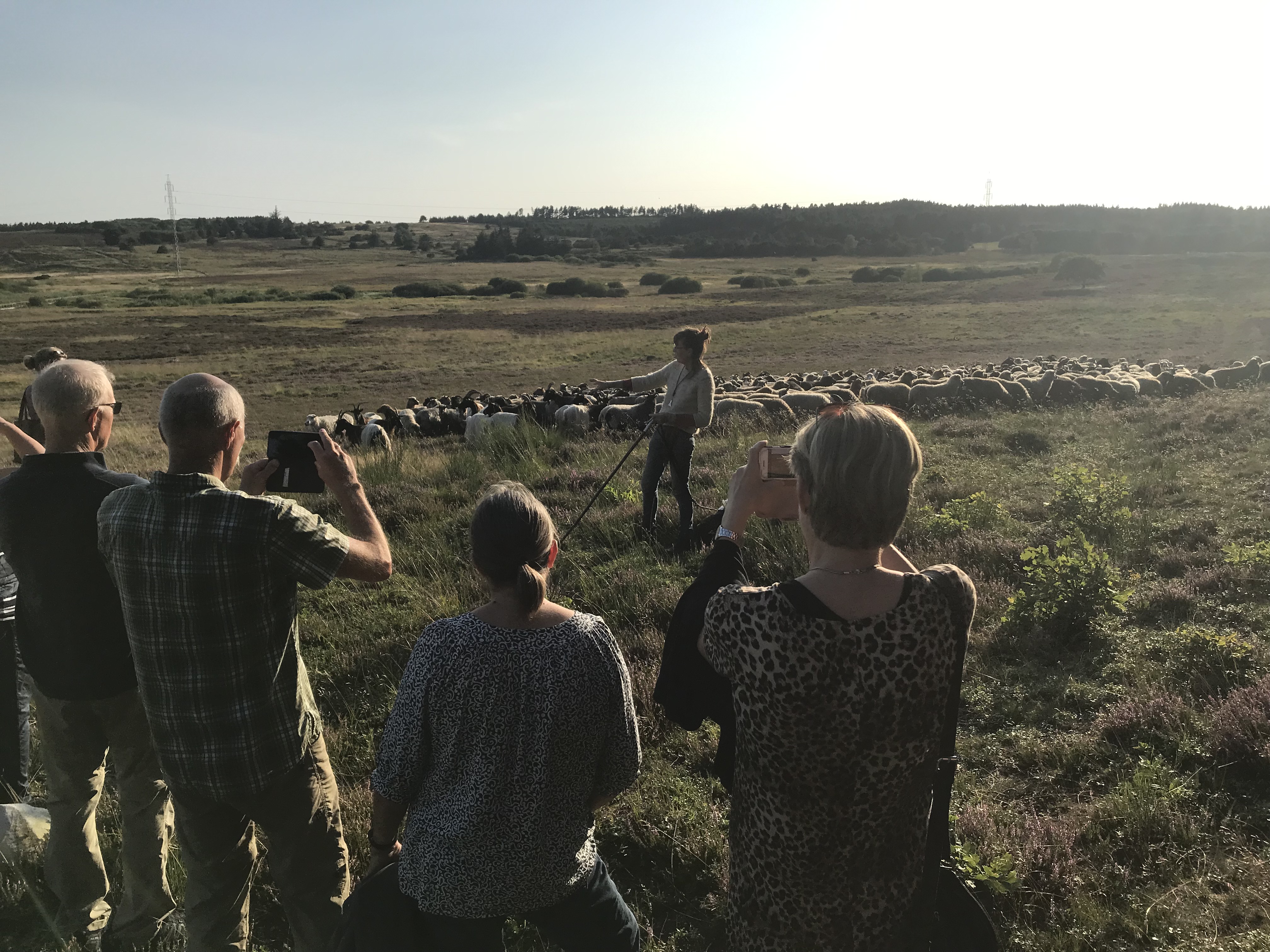 RINGKØBING – Mød Familielandbruget VEST-Jylland