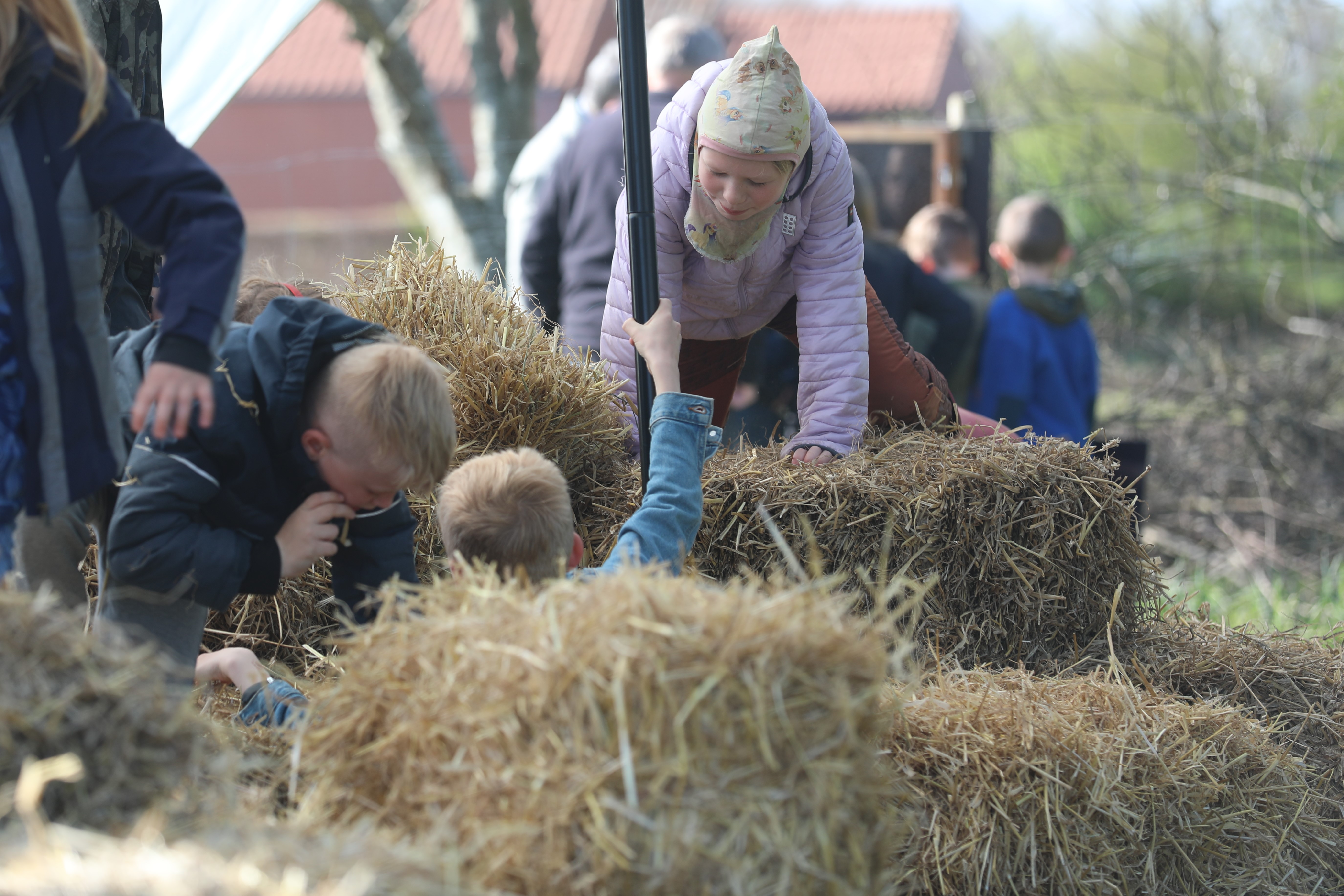 "De grå mænd" trak adskillige børnehaver og en tv-station til