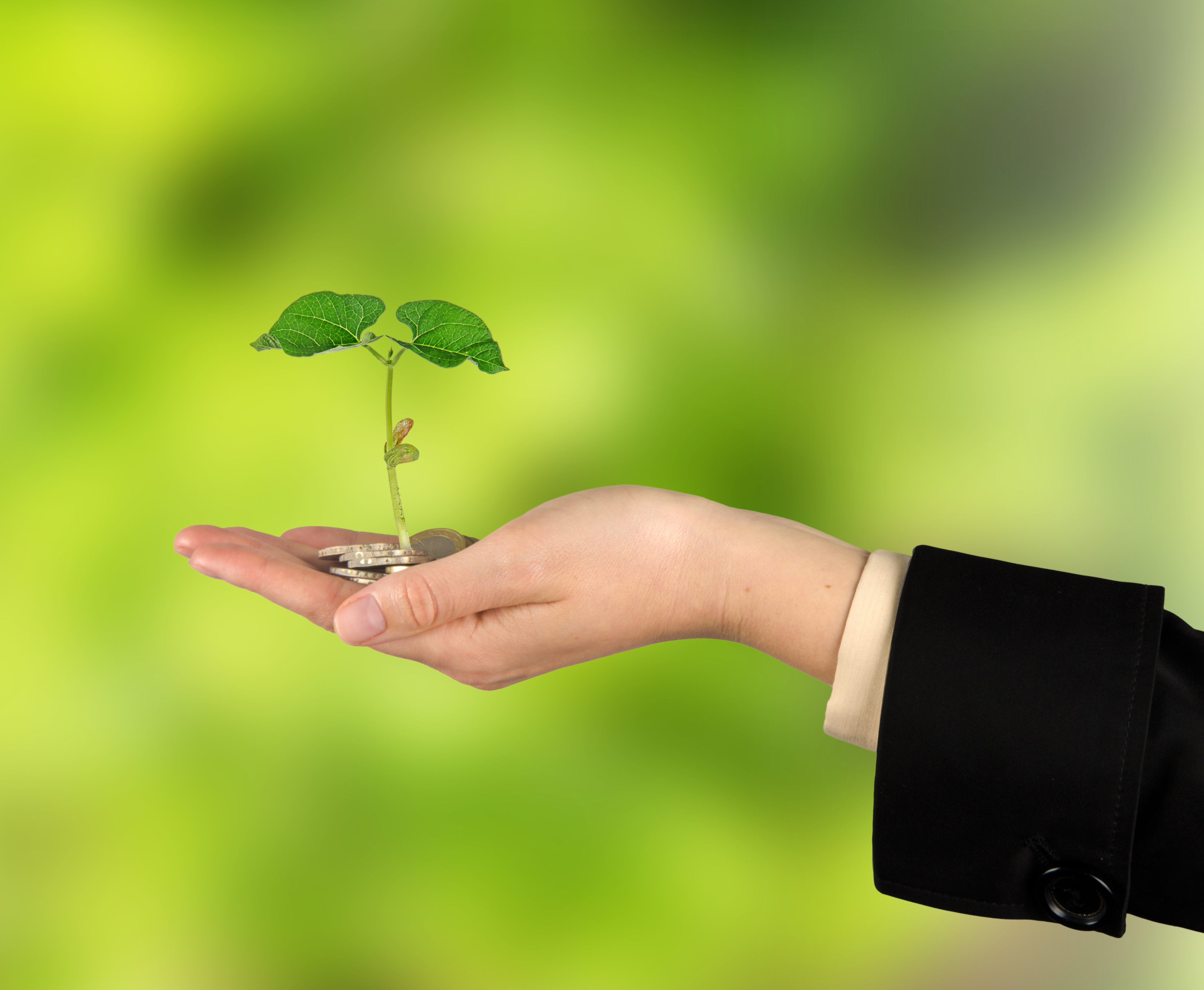 Snart kan du søge om tilskud til investeringer i miljø- og klimateknologier