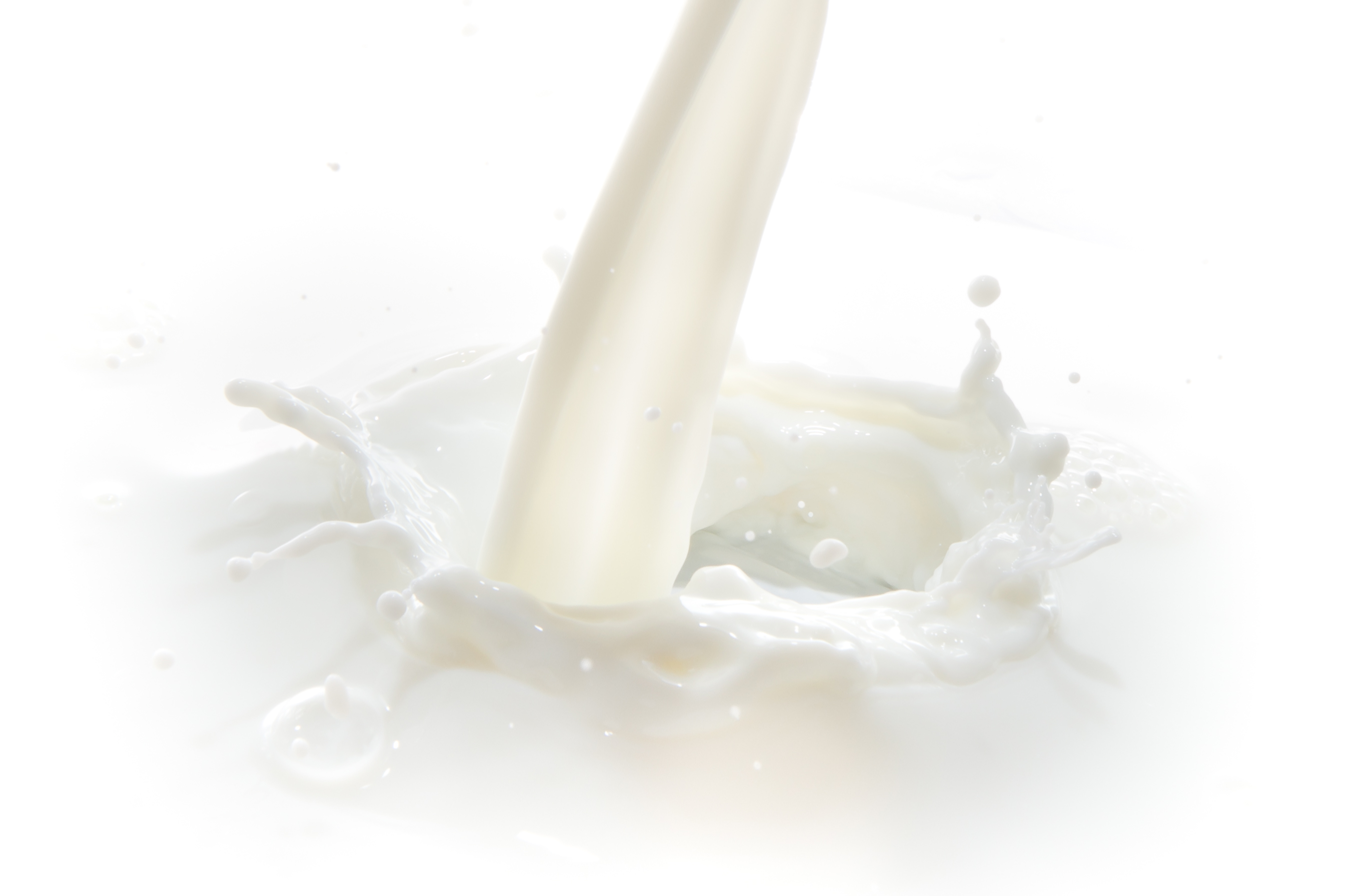 HOLSTEBRO – Rundvisning på Arla mejeri